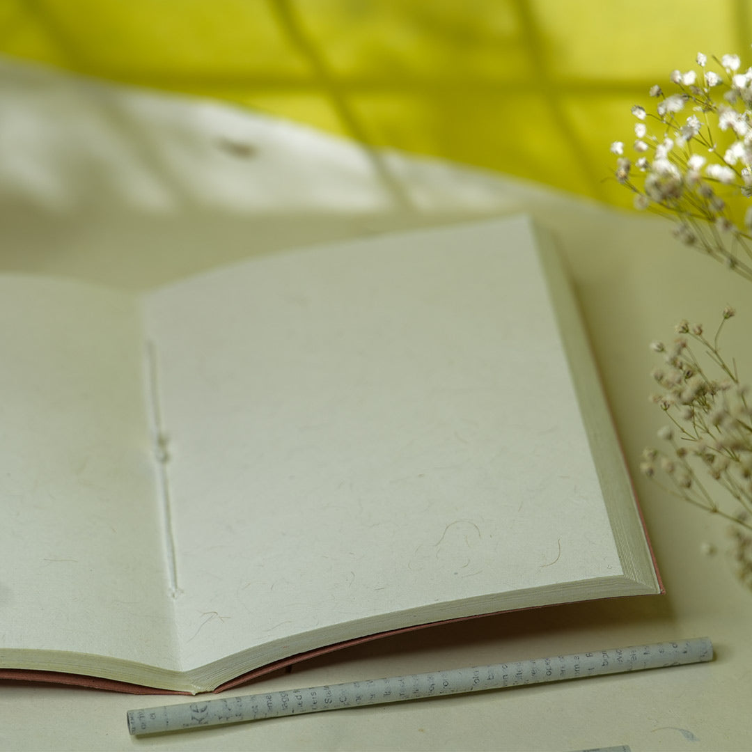 Nature Notes - Baby Blue Notebook – Papernest